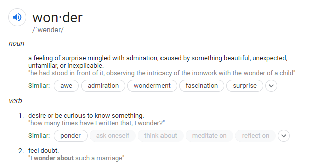 Wonders and Worries – pelicansandprose